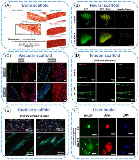 Convergence of 3D Bioprinting and Nanotechnology in Tissue Engineering ...