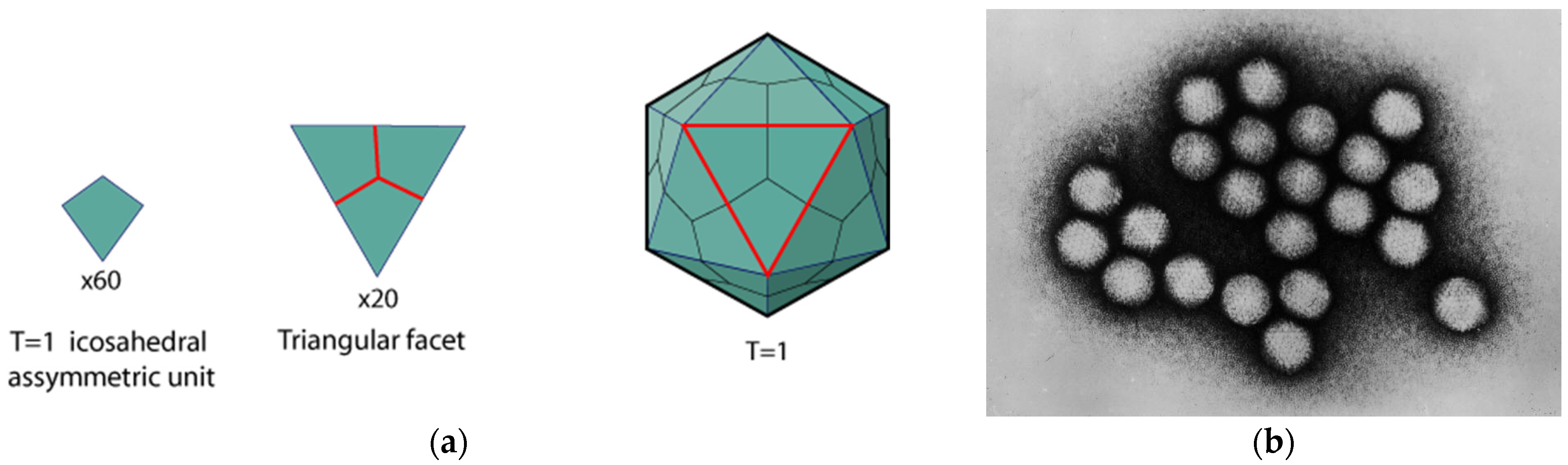Biomimetics | Free Full-Text | Biomimetic Nanotechnology Vol. 3
