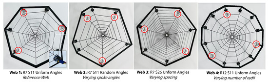 Exploration of the Design of Spiderweb-Inspired Structures for ...