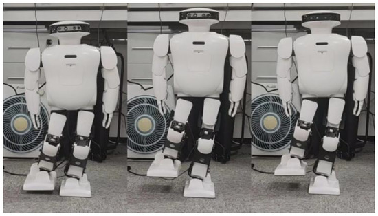 A Spring Compensation Method For A Low Cost Biped Robot Based On Whole Body Control