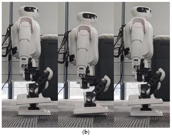 A Spring Compensation Method for a Low-Cost Biped Robot Based on Whole ...