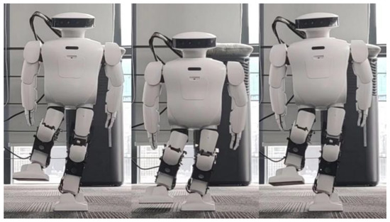 A Spring Compensation Method For A Low Cost Biped Robot Based On Whole