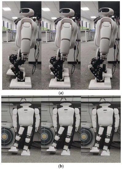 A Spring Compensation Method For A Low Cost Biped Robot Based On Whole Body Control