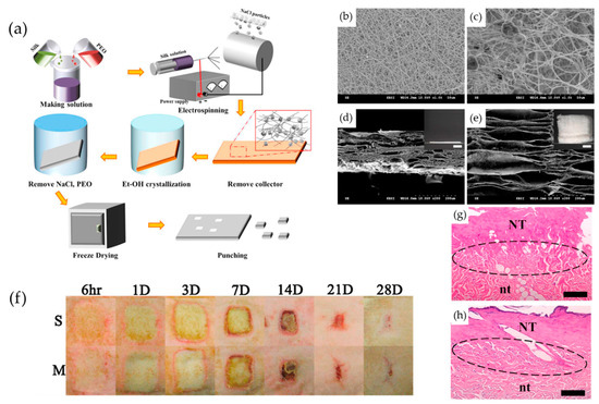 Recent Tissue Engineering Approaches to Mimicking the Extracellular ...