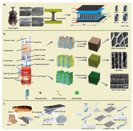 Lightweight Structural Biomaterials with Excellent Mechanical ...