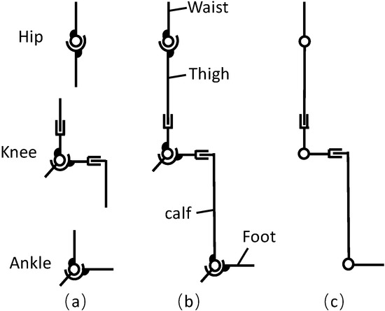 Design and Optimization of Lower Limb Rehabilitation Exoskeleton with a ...