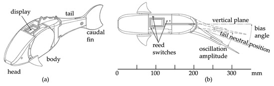 Disseminating STEM Subjects and Ocean Literacy through a Bioinspired ...
