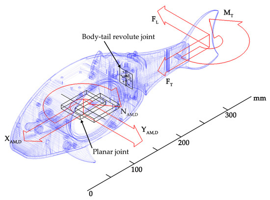 Disseminating STEM Subjects and Ocean Literacy through a Bioinspired ...
