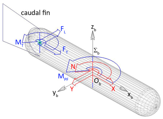 Disseminating STEM Subjects and Ocean Literacy through a Bioinspired ...