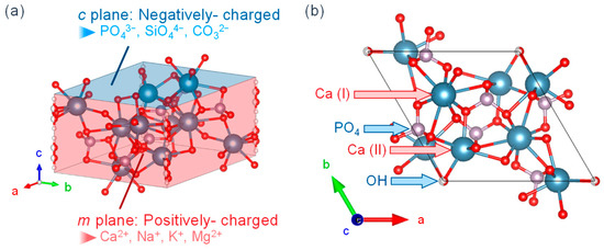 Investigation of Surface Layers on Biological and Synthetic ...