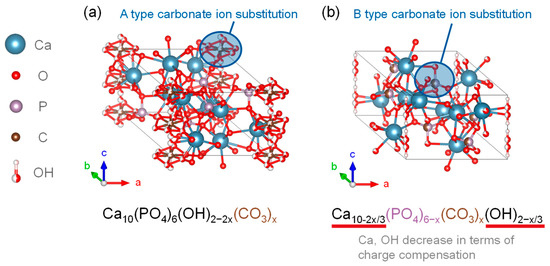 Investigation of Surface Layers on Biological and Synthetic ...
