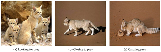 Biomimetics | Free Full-Text | An Adaptive Sand Cat Swarm Algorithm ...