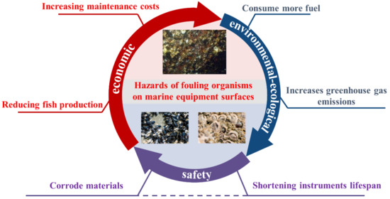 Research Progress on New Environmentally Friendly Antifouling Coatings ...