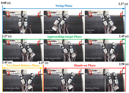 Biomimetics | Free Full-Text | Multi-Locomotion Design and ...
