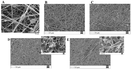 Polyvinylpyrrolidone Nanofibers Incorporating Mesoporous Bioactive ...
