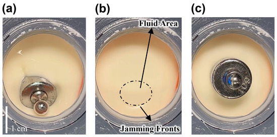 Investigation of Fluidic Universal Gripper for Delicate Object Manipulation