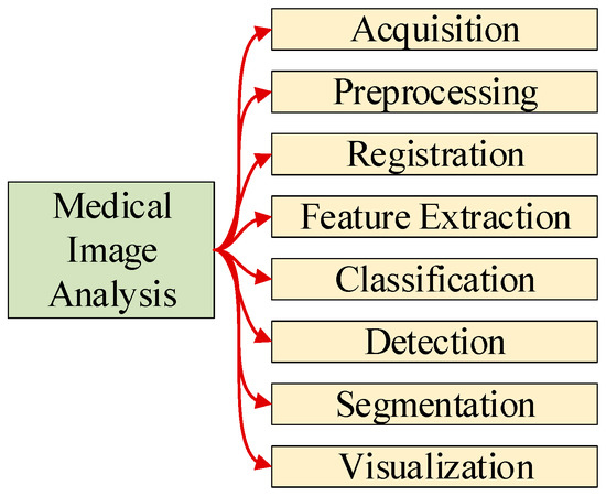 Bionic Artificial Neural Networks in Medical Image Analysis