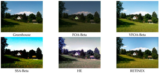 Adaptive Image Enhancement Algorithm Based on Variable Step Fruit Fly Optimization Algorithm and ...