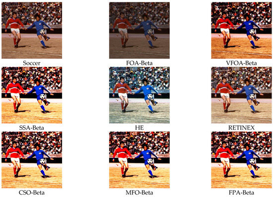 Adaptive Image Enhancement Algorithm Based on Variable Step Fruit Fly Optimization Algorithm and ...