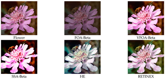 Adaptive Image Enhancement Algorithm Based on Variable Step Fruit Fly Optimization Algorithm and ...