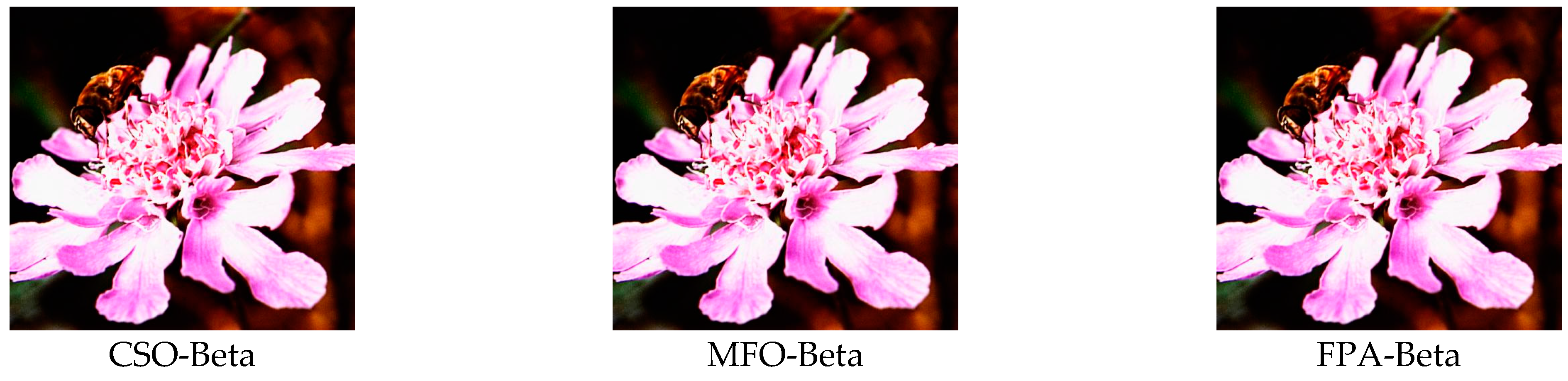 Adaptive Image Enhancement Algorithm Based on Variable Step Fruit Fly Optimization Algorithm and ...