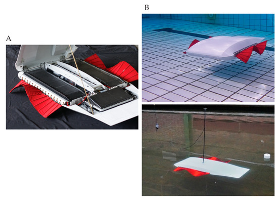 Cost of Transport of Undulating Fin Propulsion