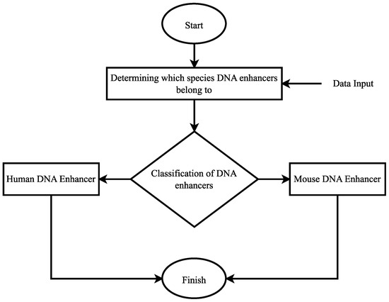 A Novel Repetition Frequency-Based DNA Encoding Scheme to Predict Human ...