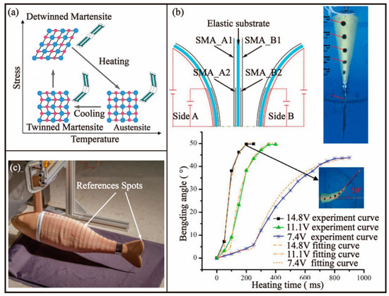 Biomimetics | Free Full-Text | A Review of Robotic Fish Based on Smart Materials