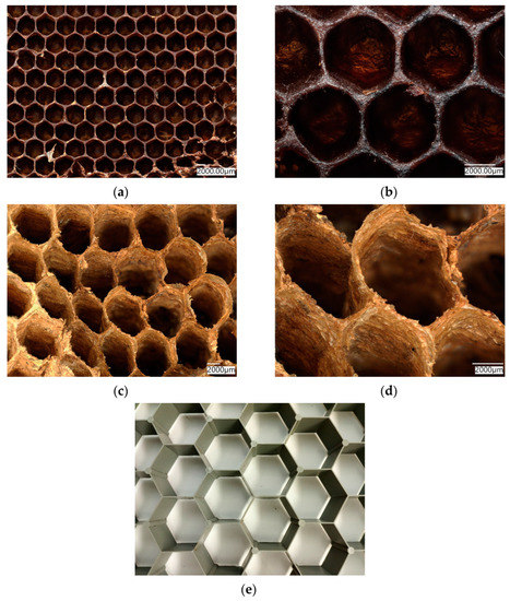 Honeycomb Biosilica in Sponges: From Understanding Principles of Unique ...