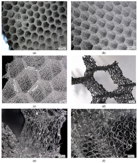 Honeycomb Biosilica in Sponges: From Understanding Principles of Unique Hierarchical ...