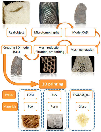 Honeycomb Biosilica in Sponges: From Understanding Principles of Unique Hierarchical ...