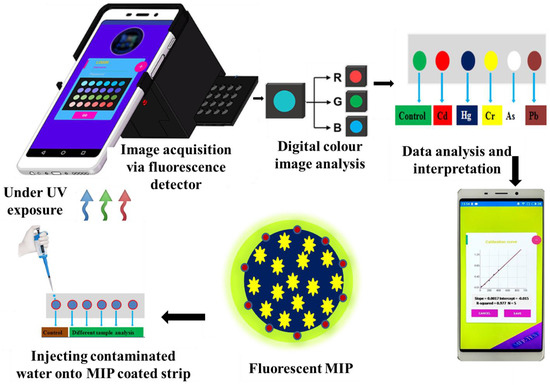 Molecularly Imprinted Polymer-Based Biomimetic Systems for Sensing ...