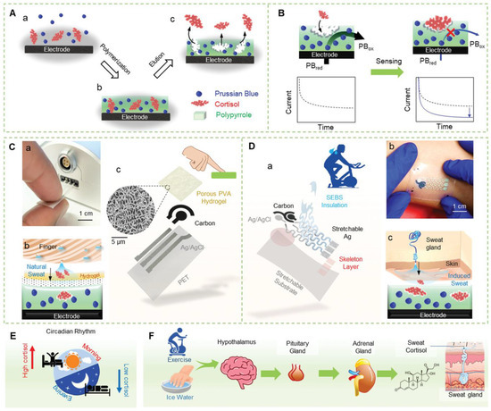 Molecularly Imprinted Polymer-Based Biomimetic Systems for Sensing ...