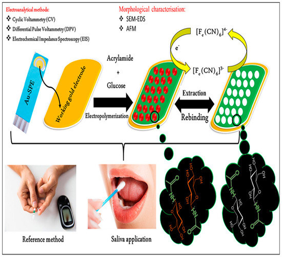 Molecularly Imprinted Polymer-Based Biomimetic Systems for Sensing ...