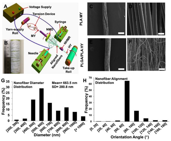 Biomimetic Scaffolds for Tendon Tissue Regeneration