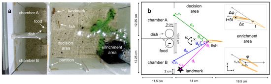 Biomimetics | Free Full-Text | Robot Programming from Fish Demonstrations