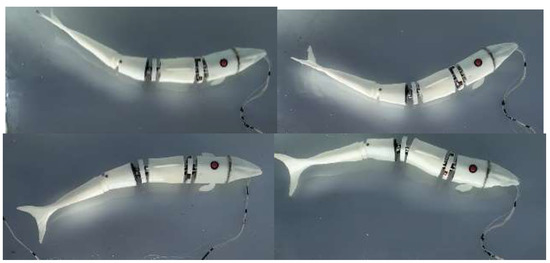 Research and Experiment on a Bionic Fish Based on High-Frequency ...