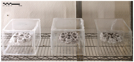 Biomimetics | Free Full-Text | Three-Dimensional Printing of Living ...