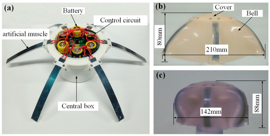 Design, Modeling, and Control of an Aurelia-Inspired Robot Based on SMA ...