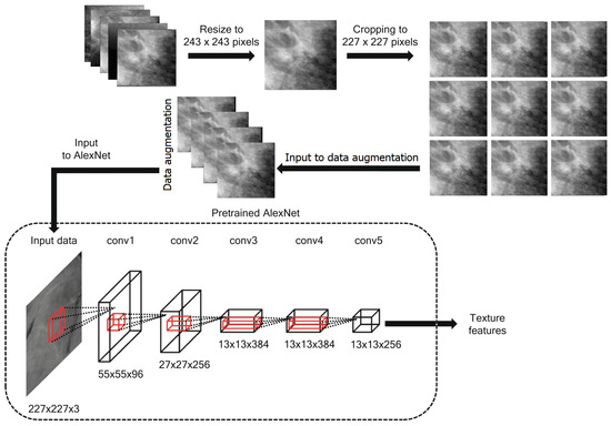 Biomimetics | Free Full-Text | Classification of Breast Cancer Using ...