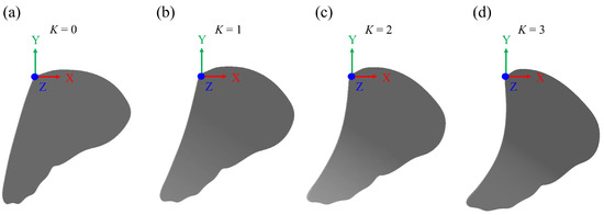 The Lift Effects of Chordwise Wing Deformation and Body Angle on Low ...