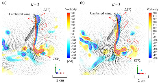 The Lift Effects of Chordwise Wing Deformation and Body Angle on Low ...