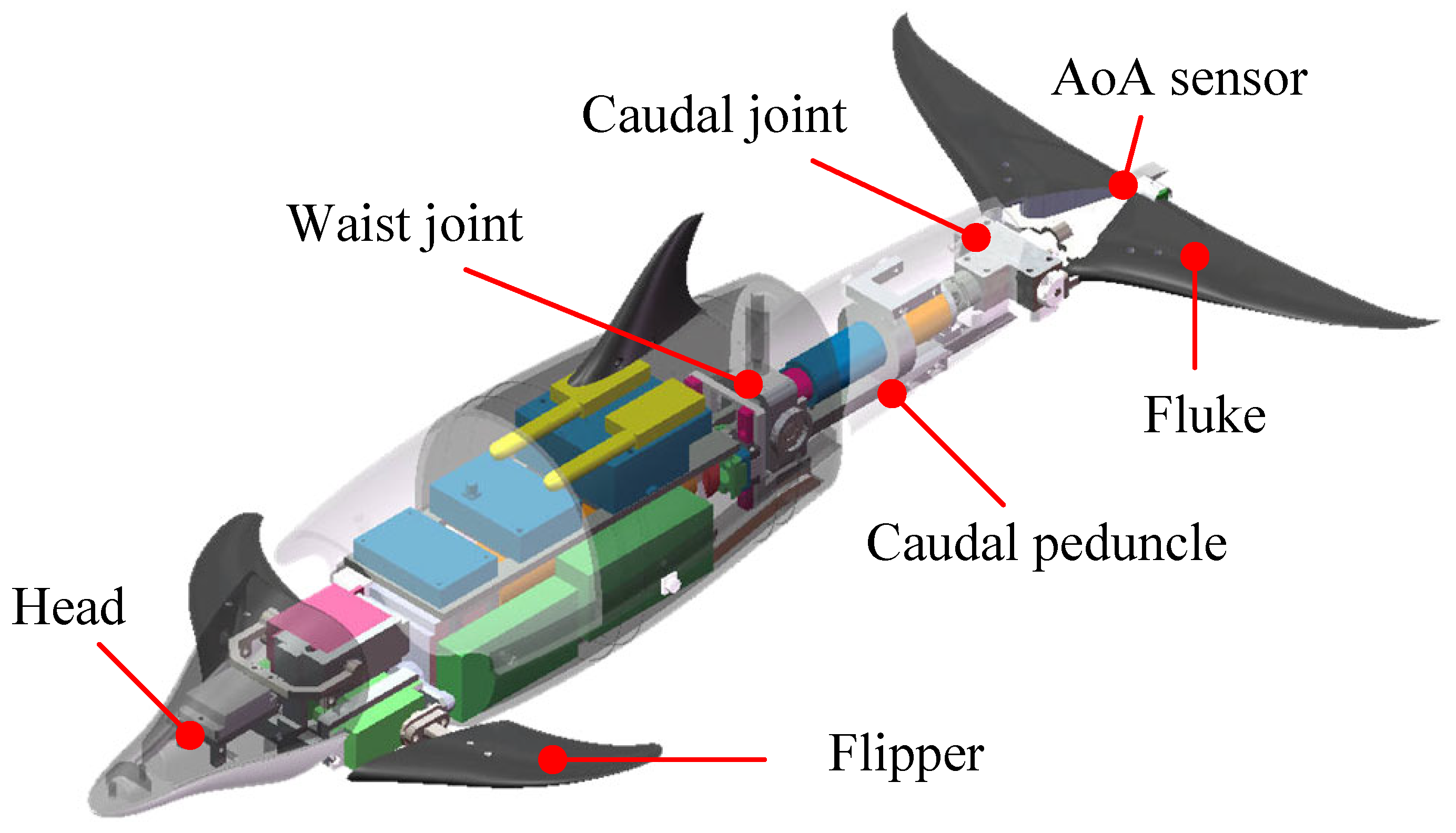 A Torque Control Strategy for a Robotic Dolphin Platform Based on Angle ...