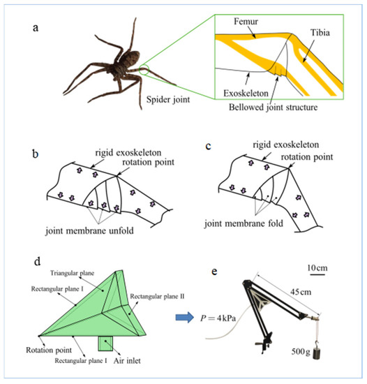 A Spider-Joint-like Bionic Actuator with an Approximately Triangular Prism Shape