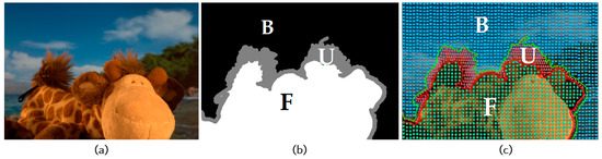 Biomimetics | Free Full-Text | Multi-Criterion Sampling Matting ...