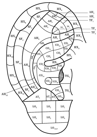 An AAM-Based Identification Method for Ear Acupoint Area