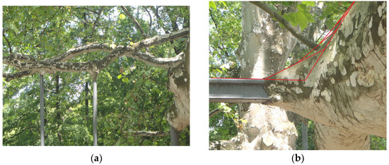 Biomimetics Design of Tooth Root Zone at Cylindrical Gears Profile