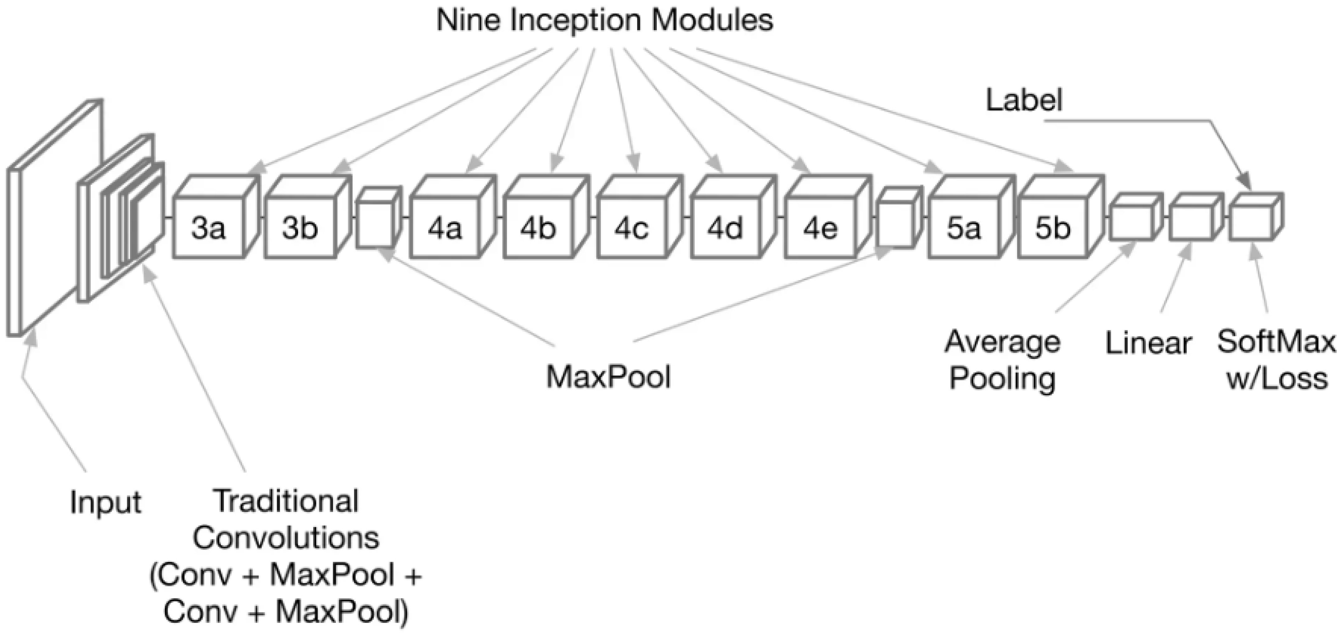 Biomimetics | Free Full-Text | Diagnosis of Monkeypox Disease Using Transfer Learning and Binary ...