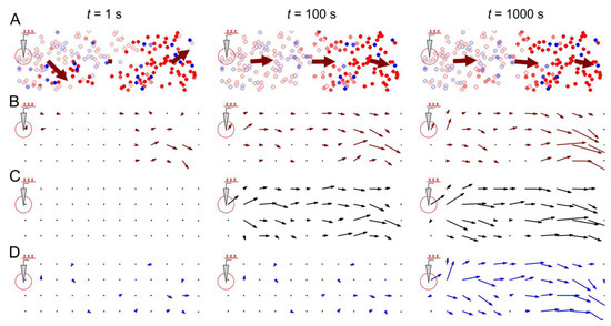 STDP-Driven Rewiring in Spiking Neural Networks under Stimulus-Induced and Spontaneous Activity