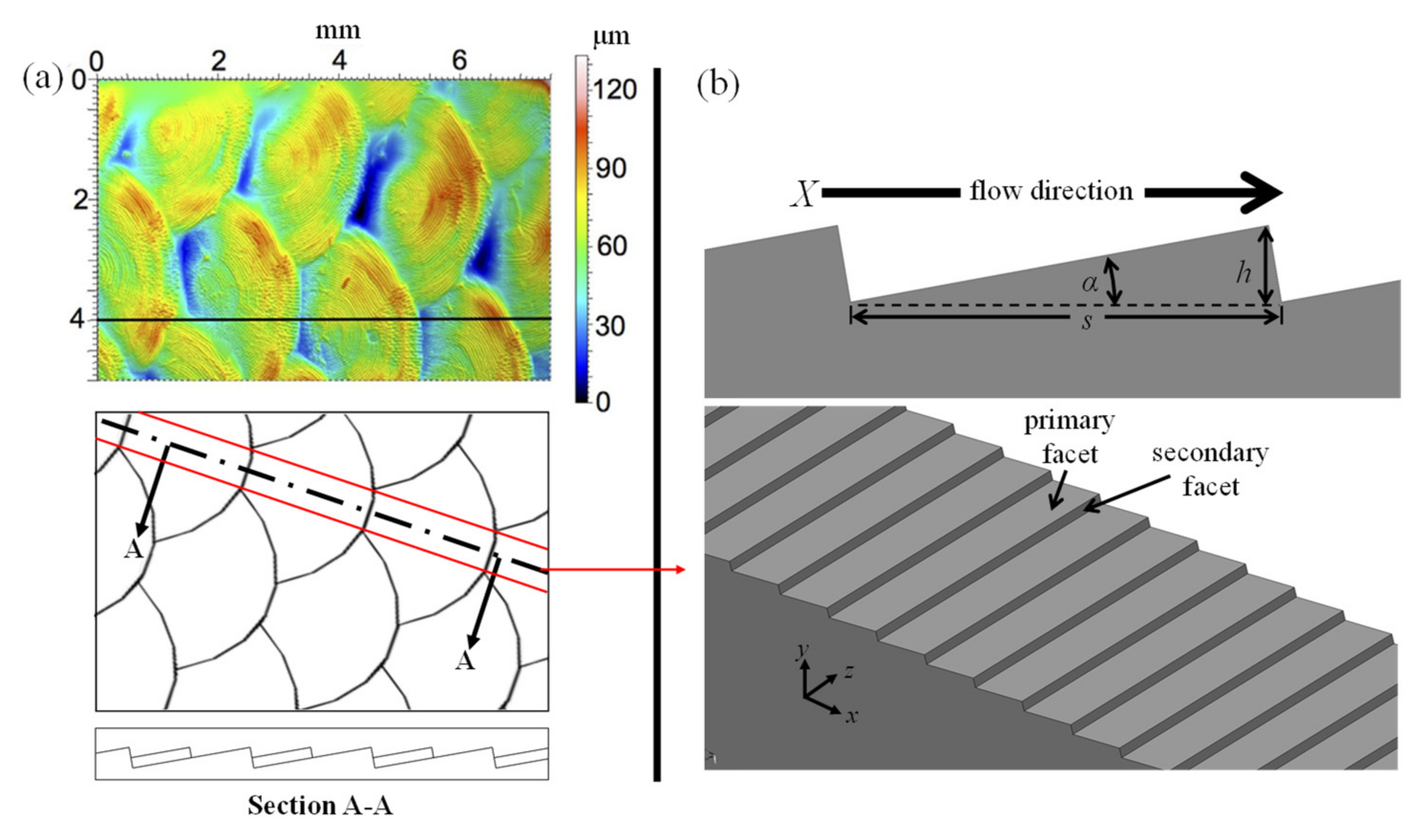 Drag Reduction by Fish-Scale Inspired Transverse Asymmetric Triangular Riblets: Modelling ...